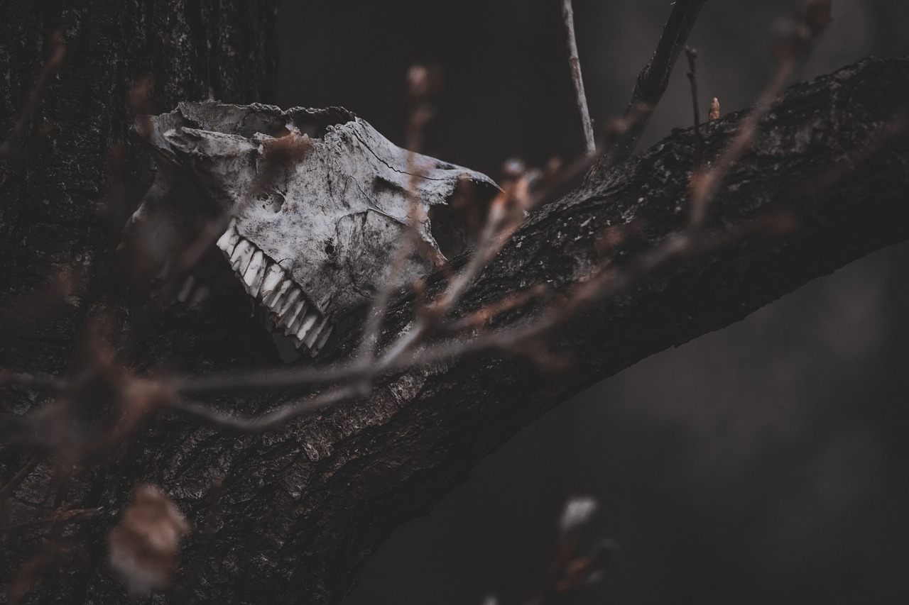 Building Suspense in Your Horror Novel | How-To Guide 2026