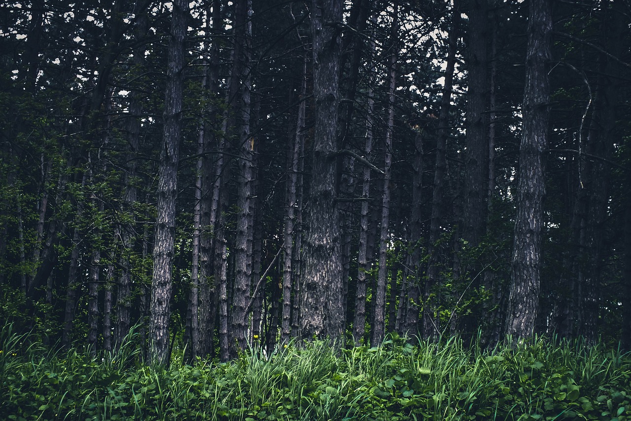 Building Suspense in Your Horror Novel | How-To Guide 2026